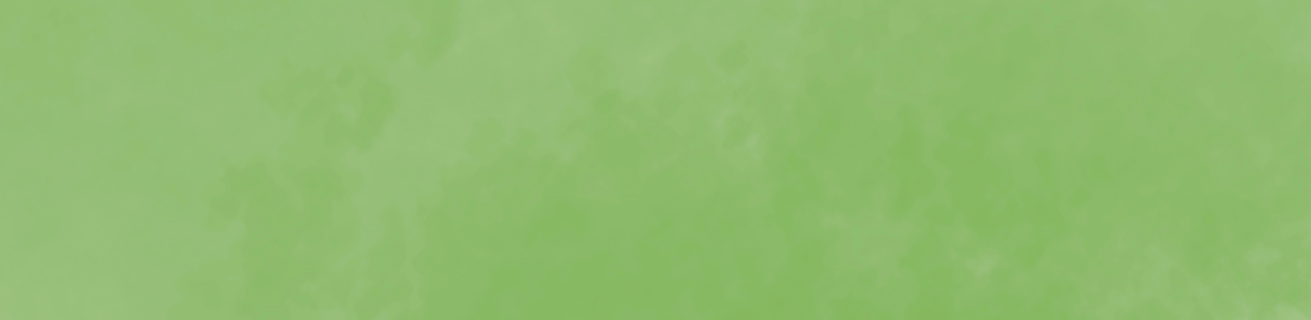 Comfort Plus Footwear